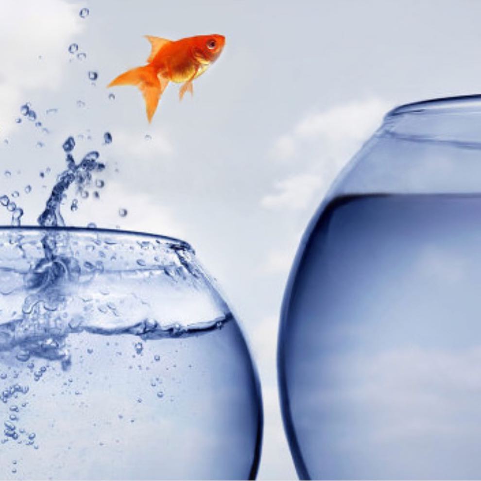 Signs of an explosive blessing in progress – 1. Feeling peaceful and ...